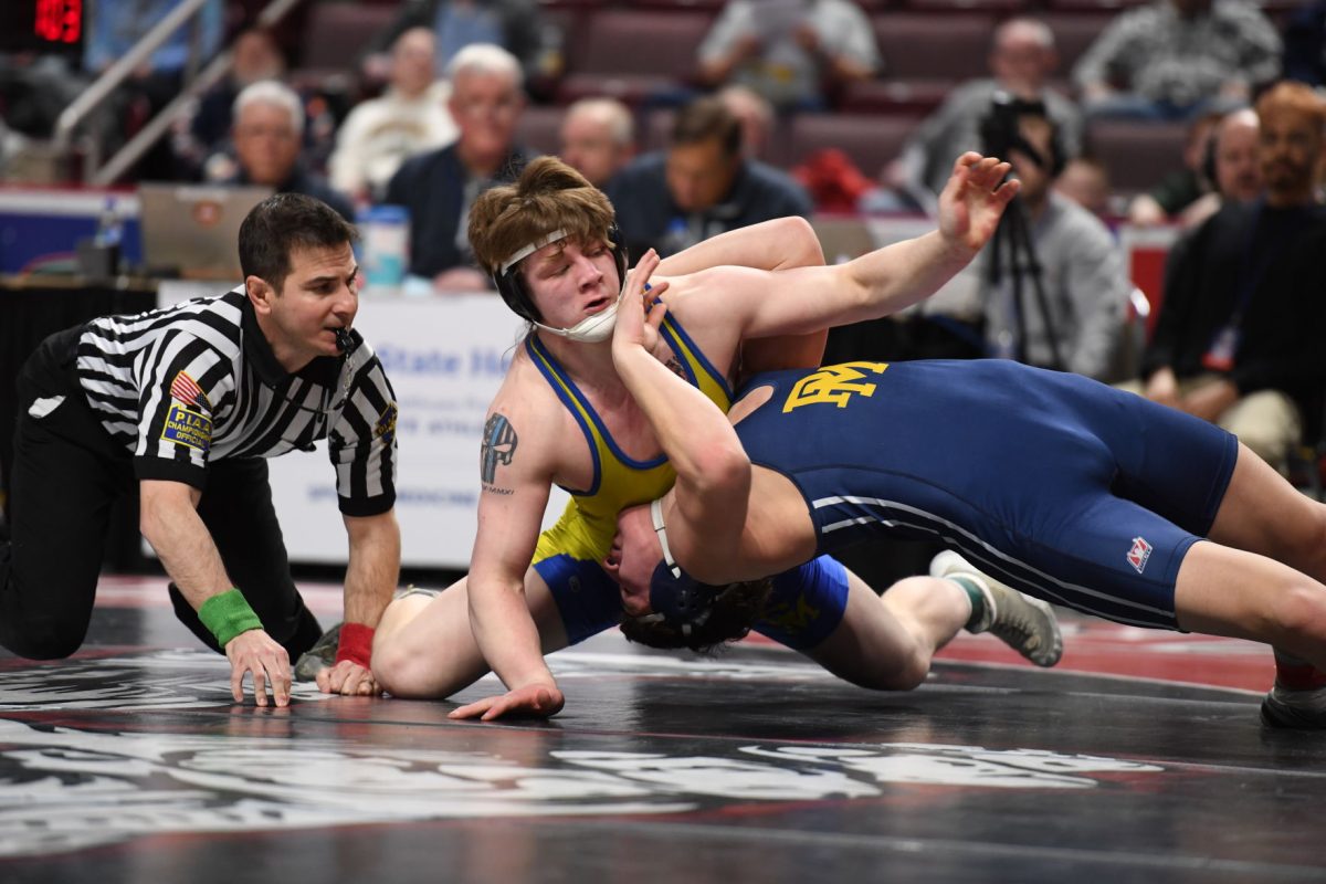 Nijenhuis doubles up on O-R All-District Team - Observer-Reporter